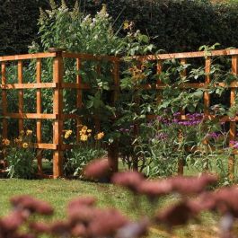 Heavy Duty Dip Treated 6x2 Garden Trellis - Set of 3