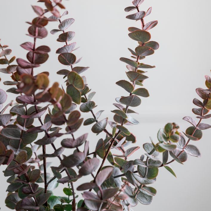 Fancse Realistic Faux Eucalyptus Spray Set Dusky Damson - 6 Pieces