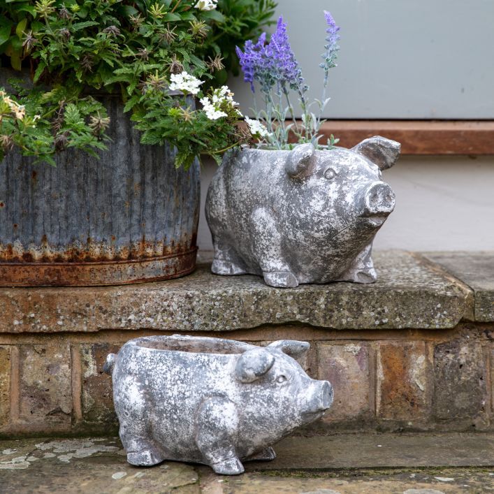 Rolle Pig Planter - Large